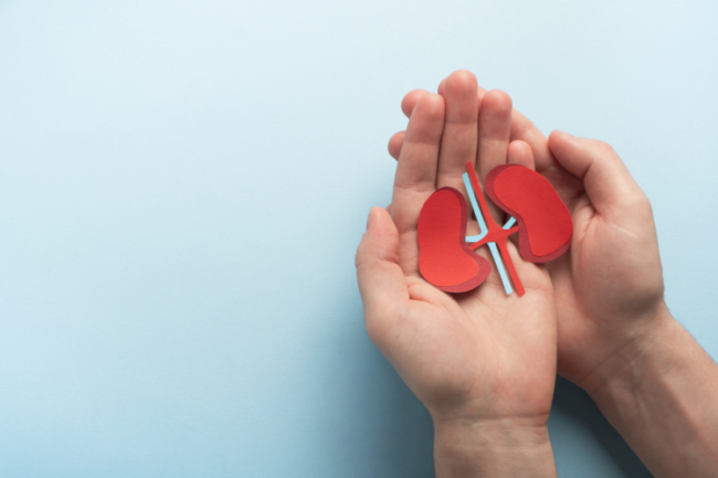 9 Tips On Finding the Best Nephrologist for Your Care